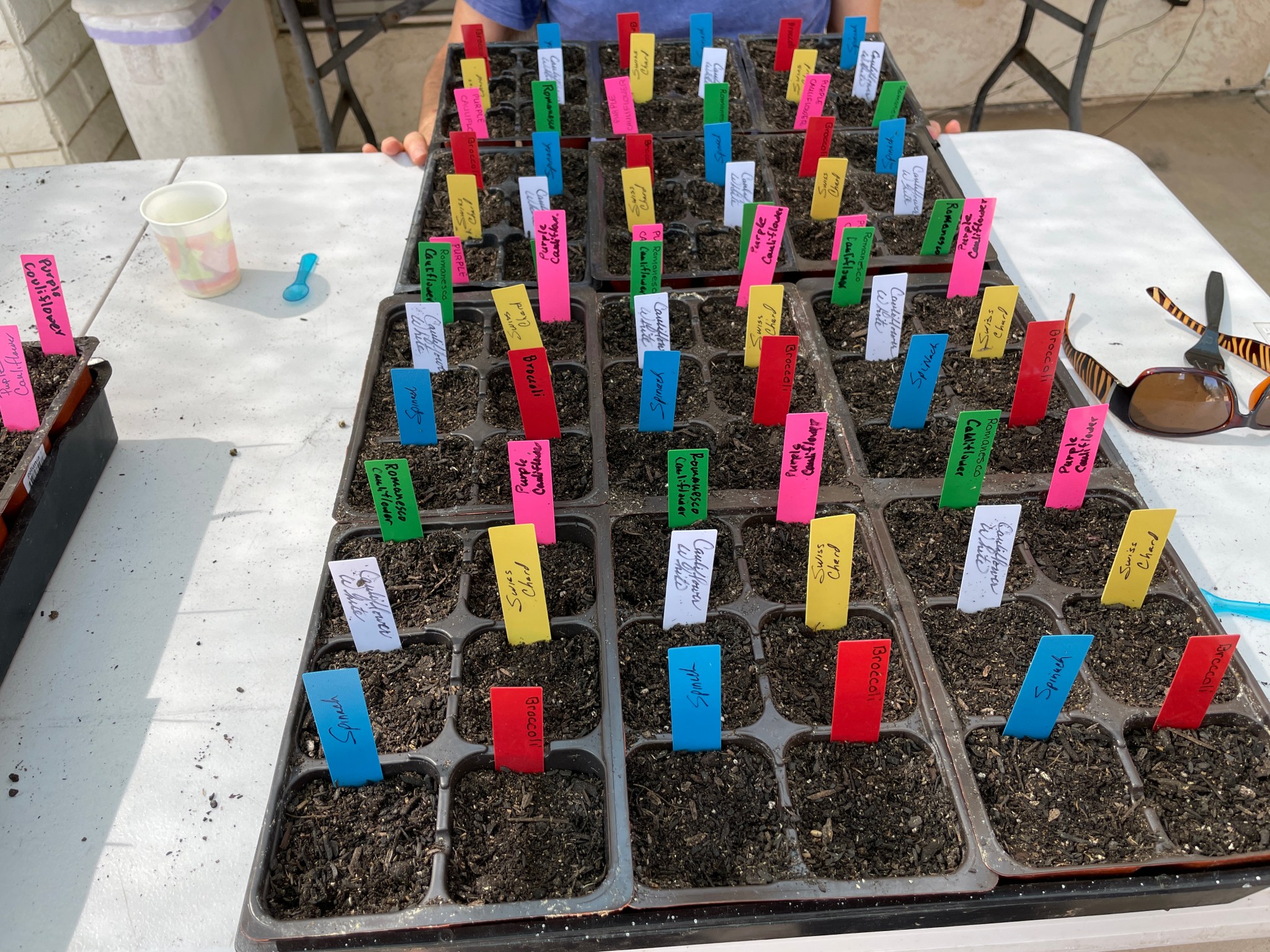 Summer Seed Party – Organic Garden Club of Ventura County