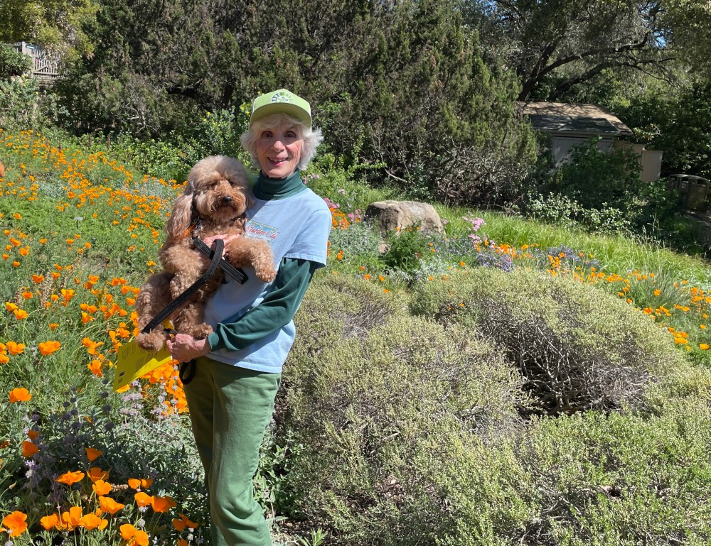 Santa Barbara Botanic Garden Tour – Organic Garden Club of Ventura County